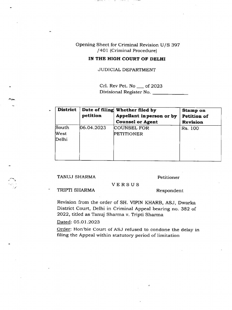 T v T Revision Petition | PDF