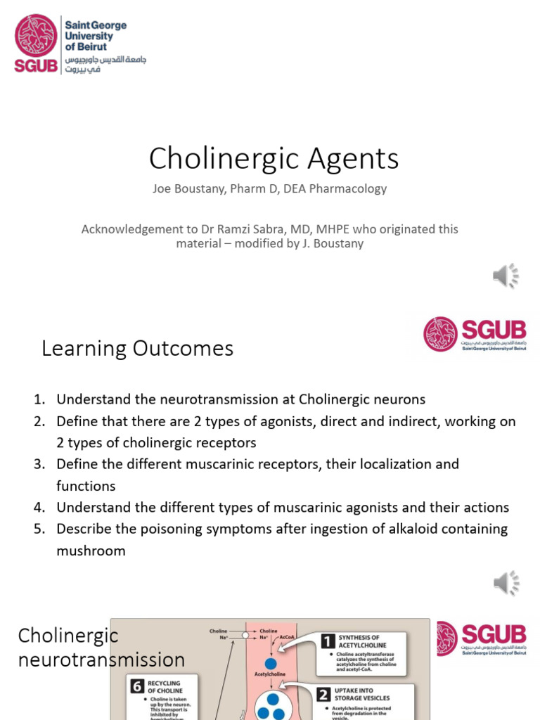 Cholinergic Agonists VO-Boustany | Download Free PDF | Acetylcholine ...