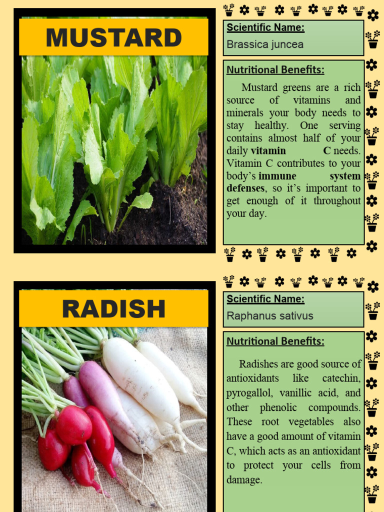 Tle - Template - Garden Signage - Part2 | PDF | Nutrition | Diet ...