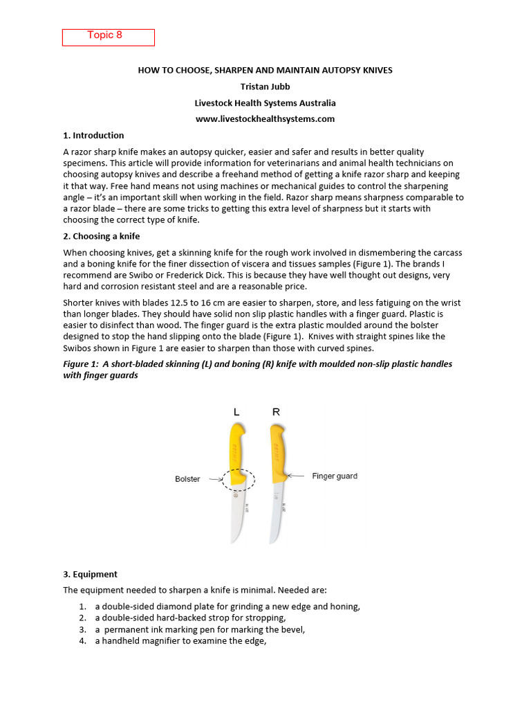 Sharpen Autopsy Knives TFJ | PDF | Knife | Blade