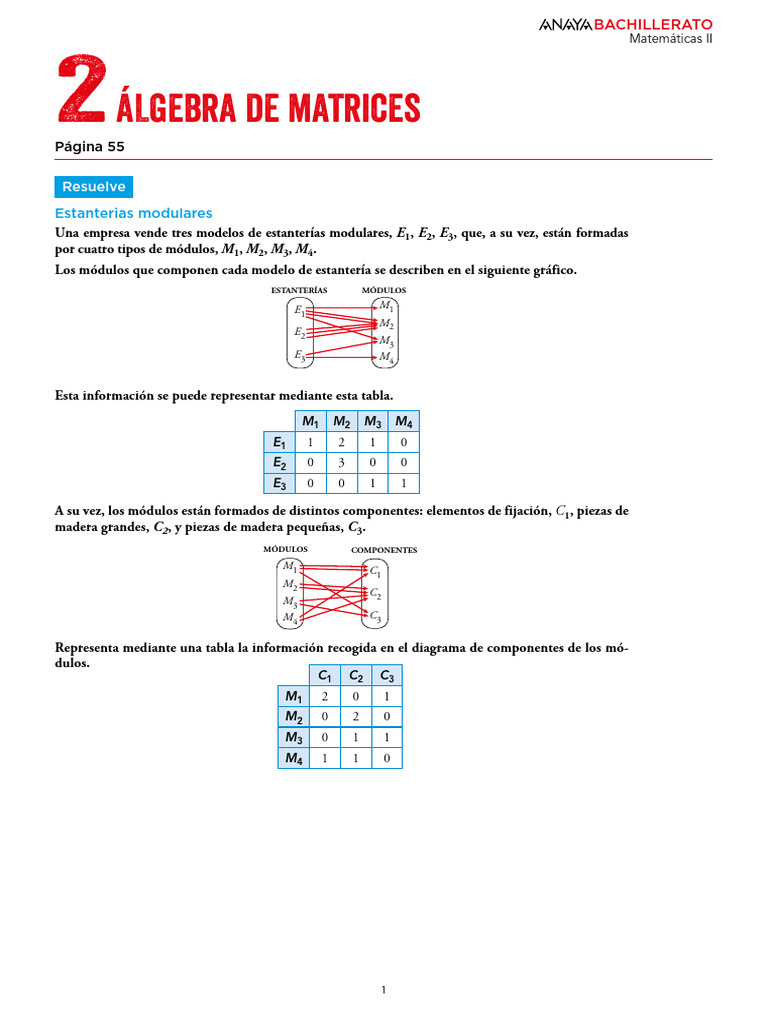 Tema 2 Solucionario Libro 2º Bach Mat II | PDF | Matriz (Matemáticas) | Matemáticas