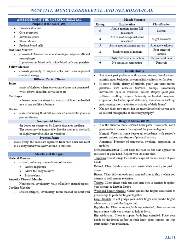Musculoskeletal and Neurological | PDF | Anatomical Terms Of Motion ...