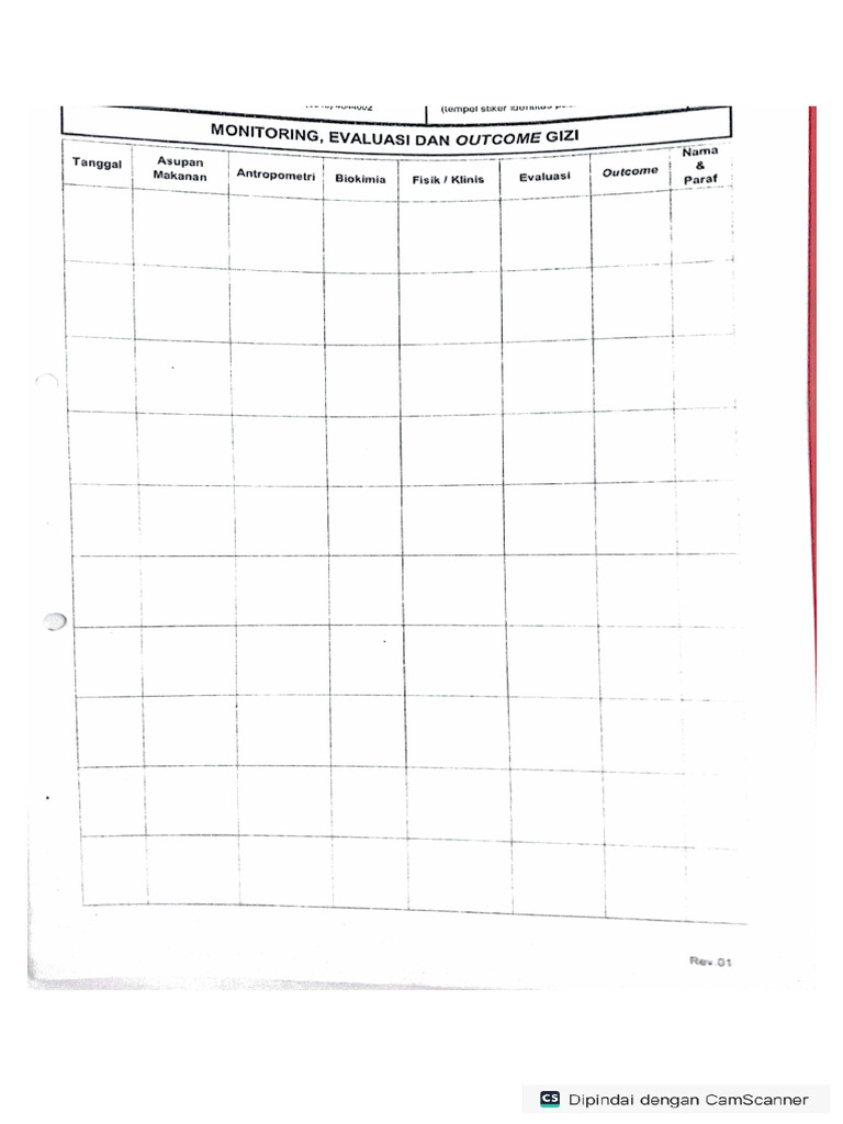 Form Monev Gizi | PDF