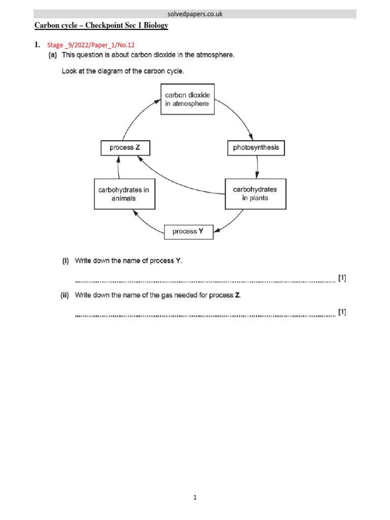 Carbon Cycle Exam Questions and Answers | PDF