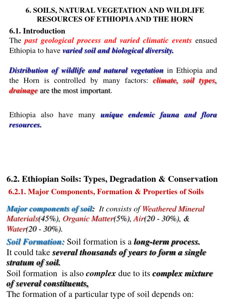 Geography Lecture Notes 12 (Chapters 6-8) | PDF | Weathering | Soil