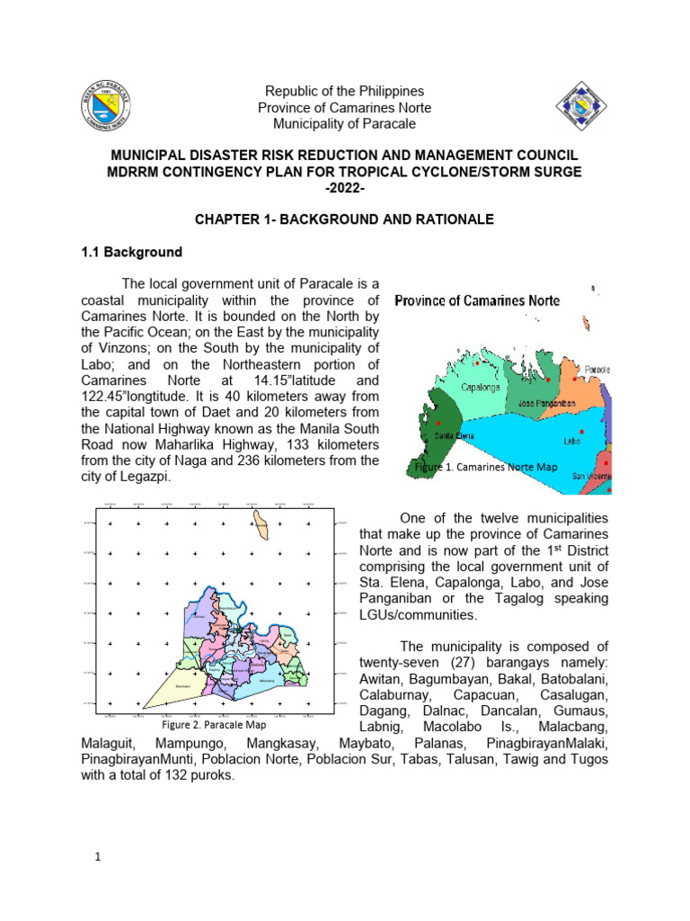 Paracale Disaster Contingency Plan 2022 | PDF | Flood | Hazards