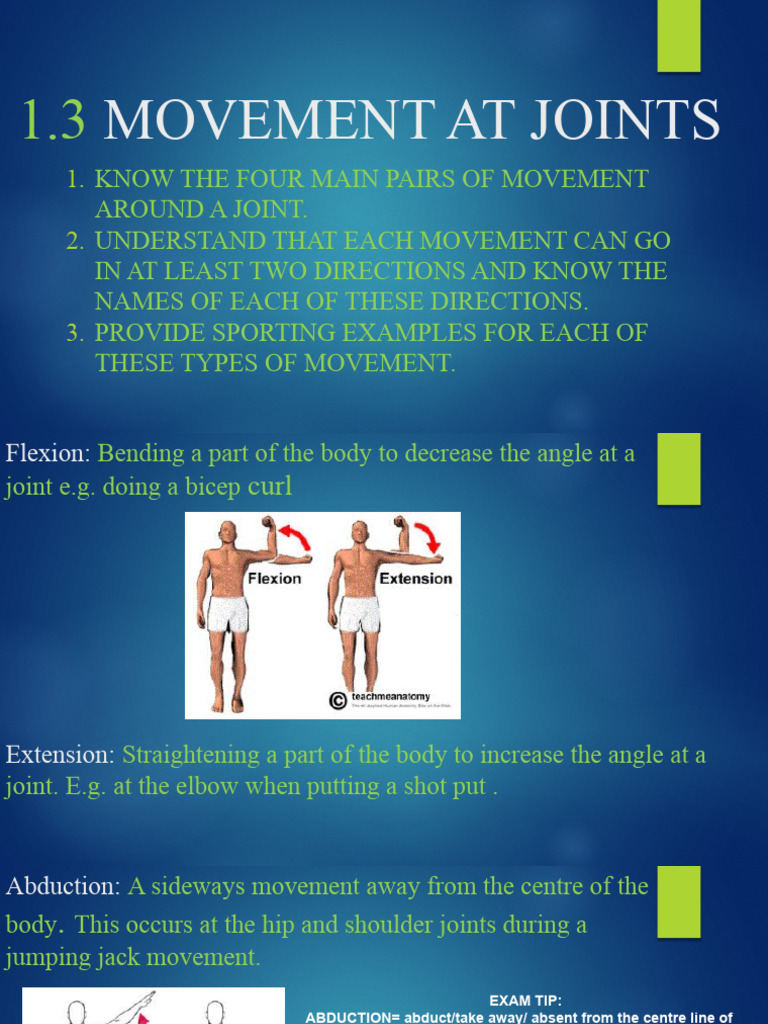 1.3 Movement at Joints | Download Free PDF | Anatomical Terms Of Motion | Musculoskeletal System