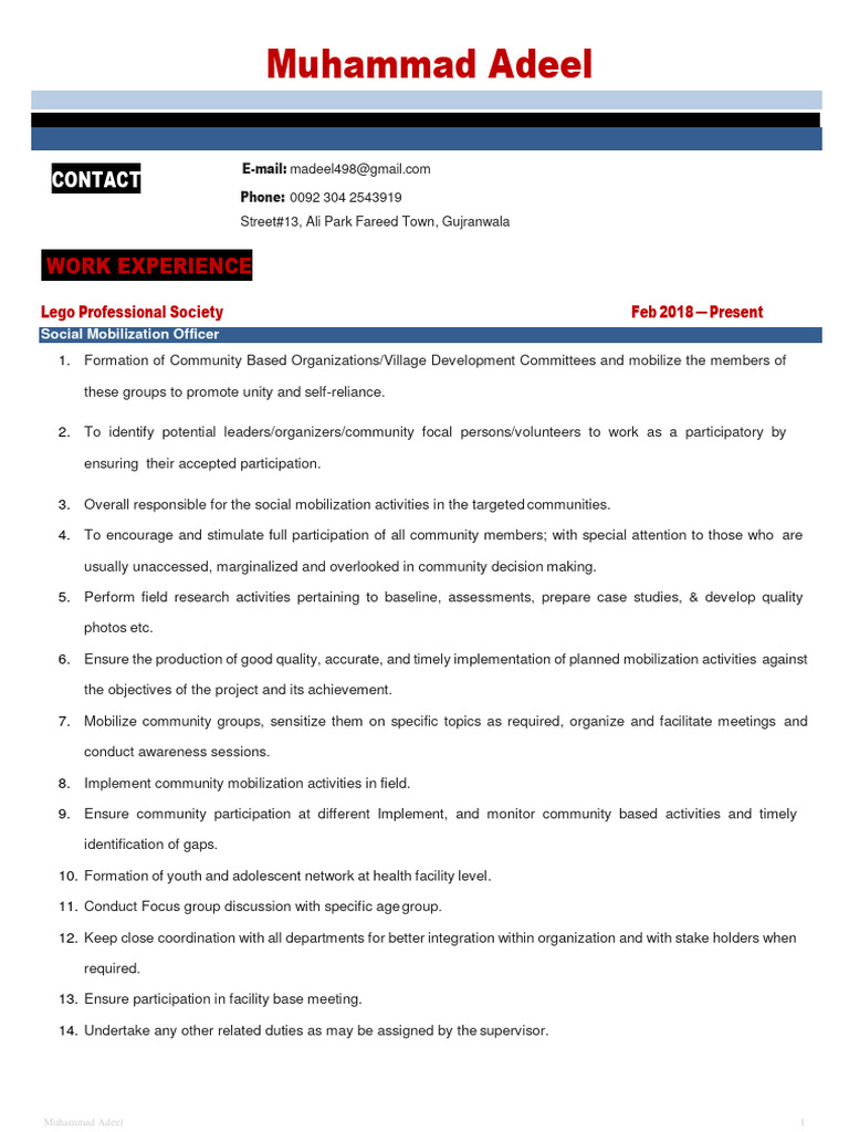 CV-Colourfull-Muhammad Adeel | PDF