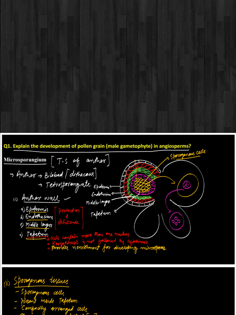 Today's Botany Lecture Discusion | PDF