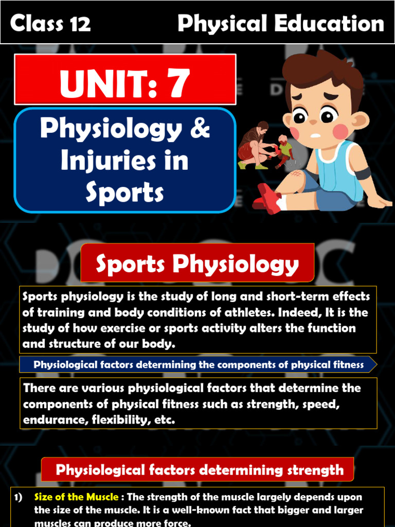 Chapter 7 PED | PDF | Skeletal Muscle | Flexibility (Anatomy)
