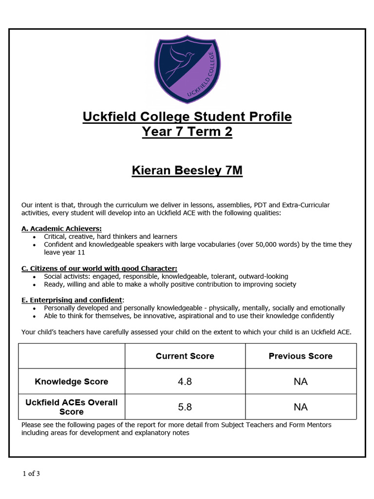 Uckfield College Year 7 Term 2 Report | PDF | Learning | Cognitive Science