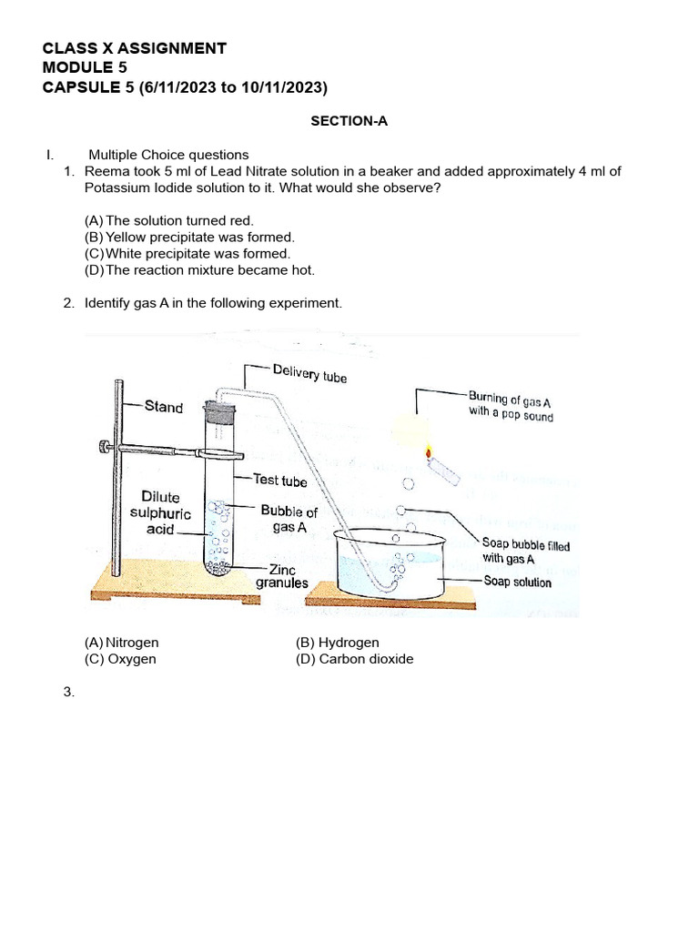 Module 5 Class 10 Chemistry | PDF | Chlorine | Physical Chemistry