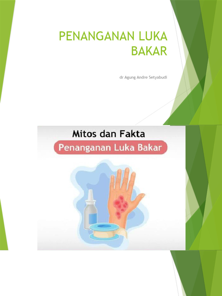 Penanganan Luka Bakar | PDF | Kesehatan Holistik