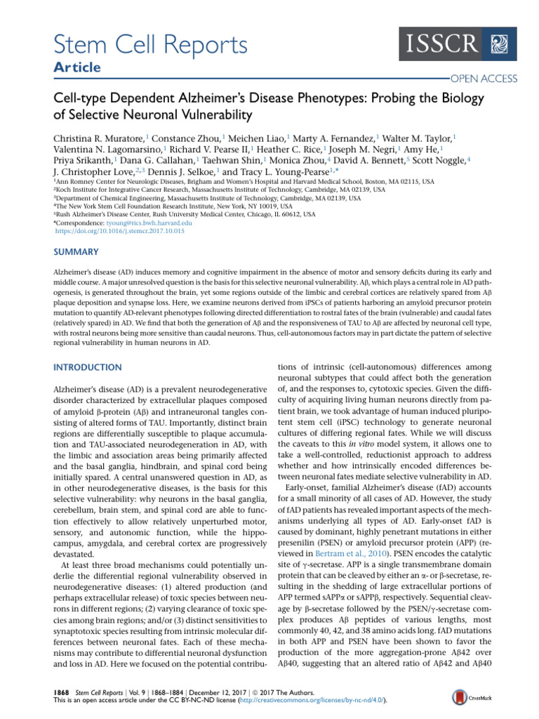 MMC 2 | PDF | Cerebral Cortex | Cellular Differentiation