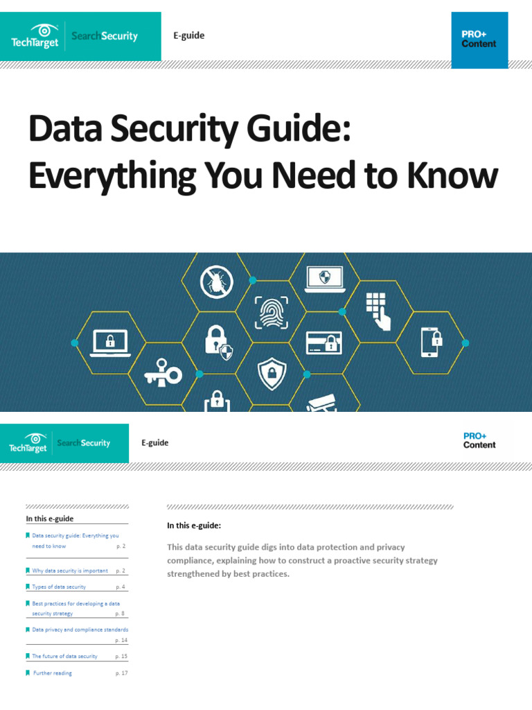 Data Security Guide Everything You Need To Know | PDF | Security ...