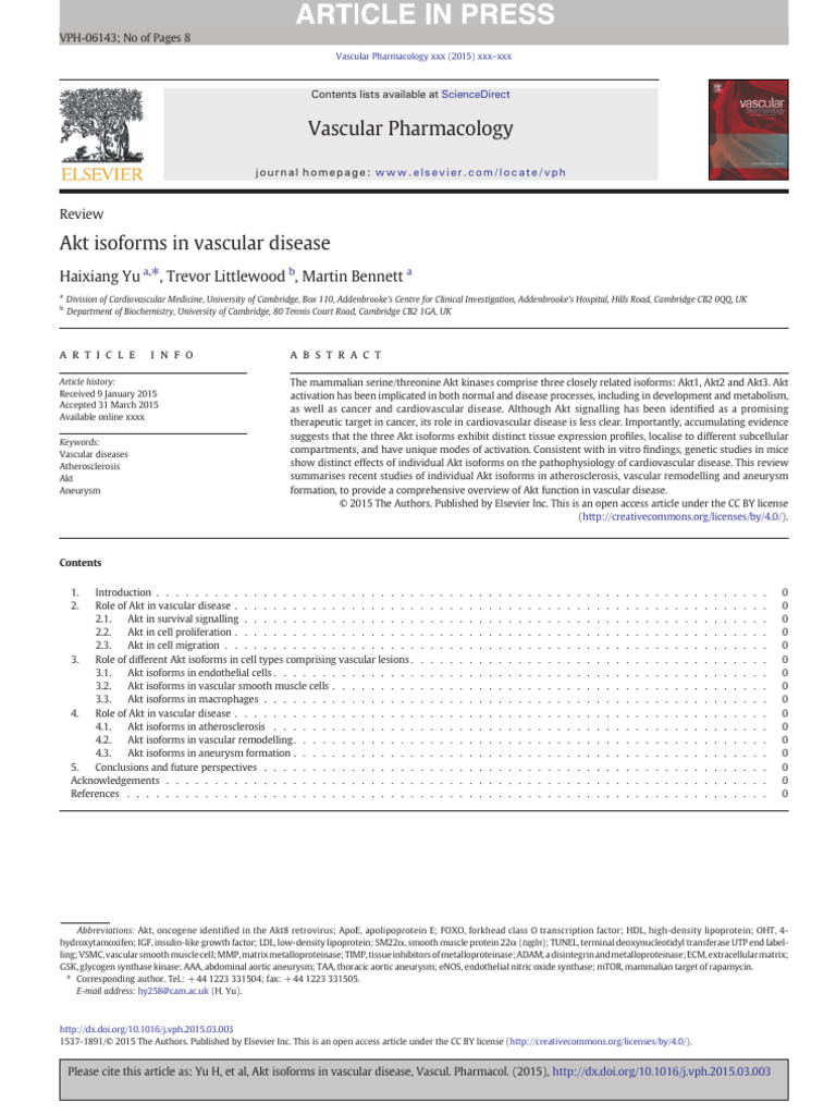 Akt Isoforms in Vascular Disease | PDF | Protein Kinase B | Atherosclerosis