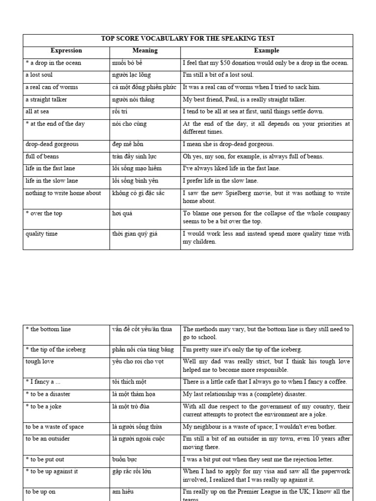 Top Score Vocabulary For The Speaking Test | PDF