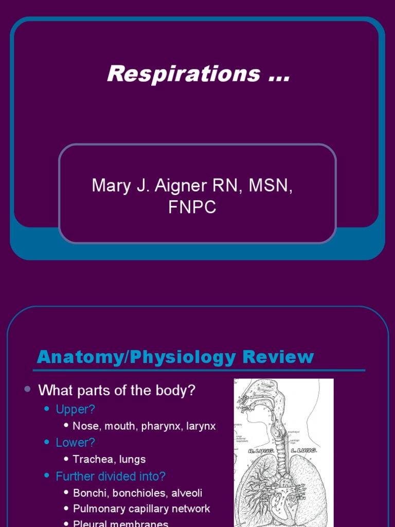 Respirations 1 | PDF | Lung | Respiratory System