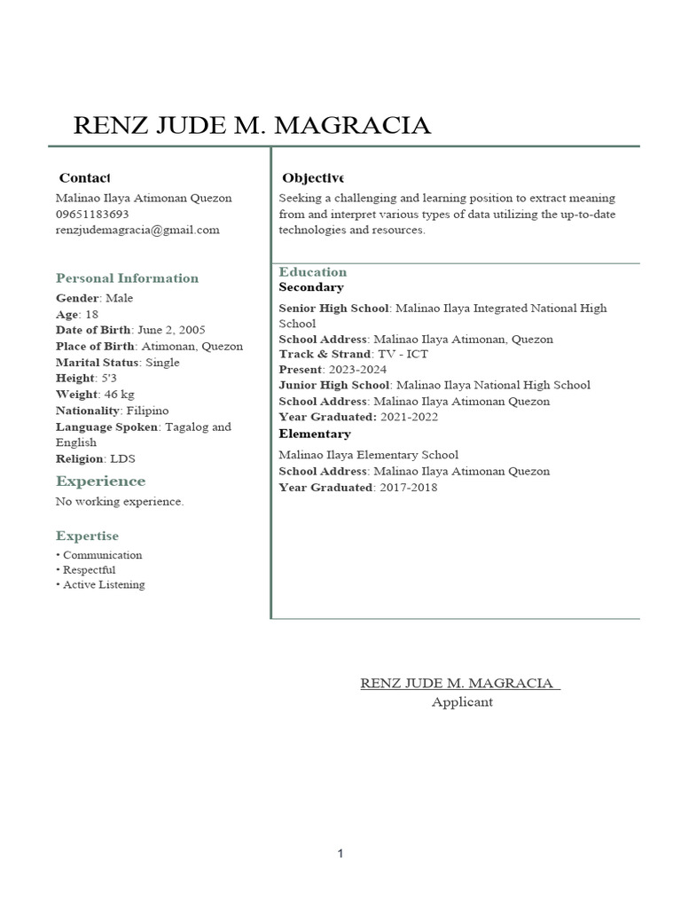 RENZ JUDE M. MAGRACIA RESUME | PDF