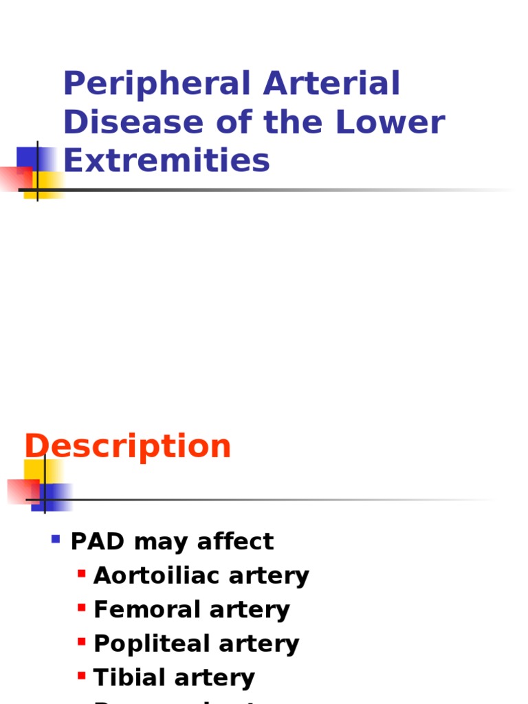 Peripheral Arterial Disease of The Lower Extremities | PDF | Clinical ...