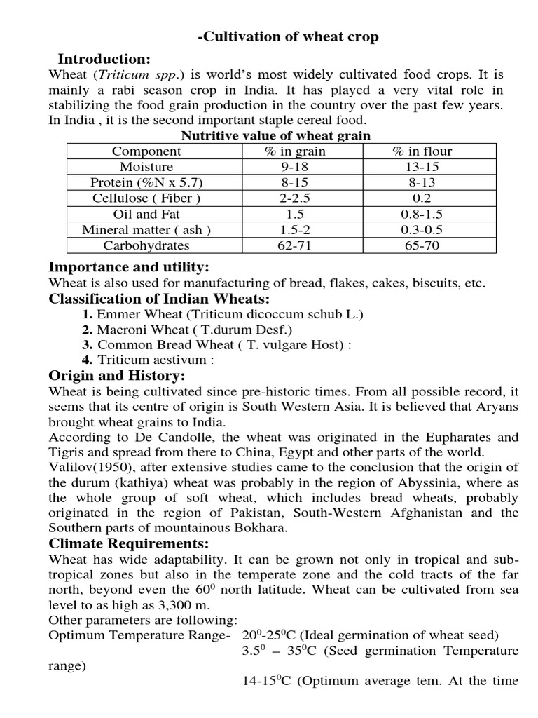 Cultivation of Wheat | PDF | Sowing | Wheat