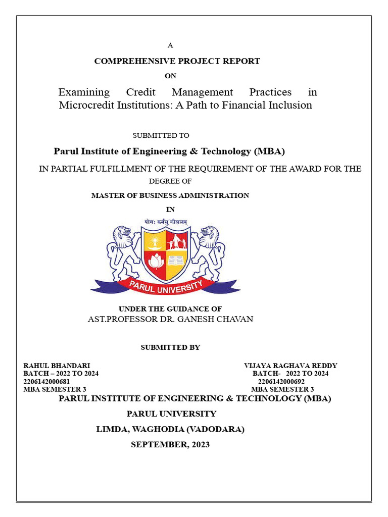 Examining Credit Management Practices in Microcredit Institutions: A ...