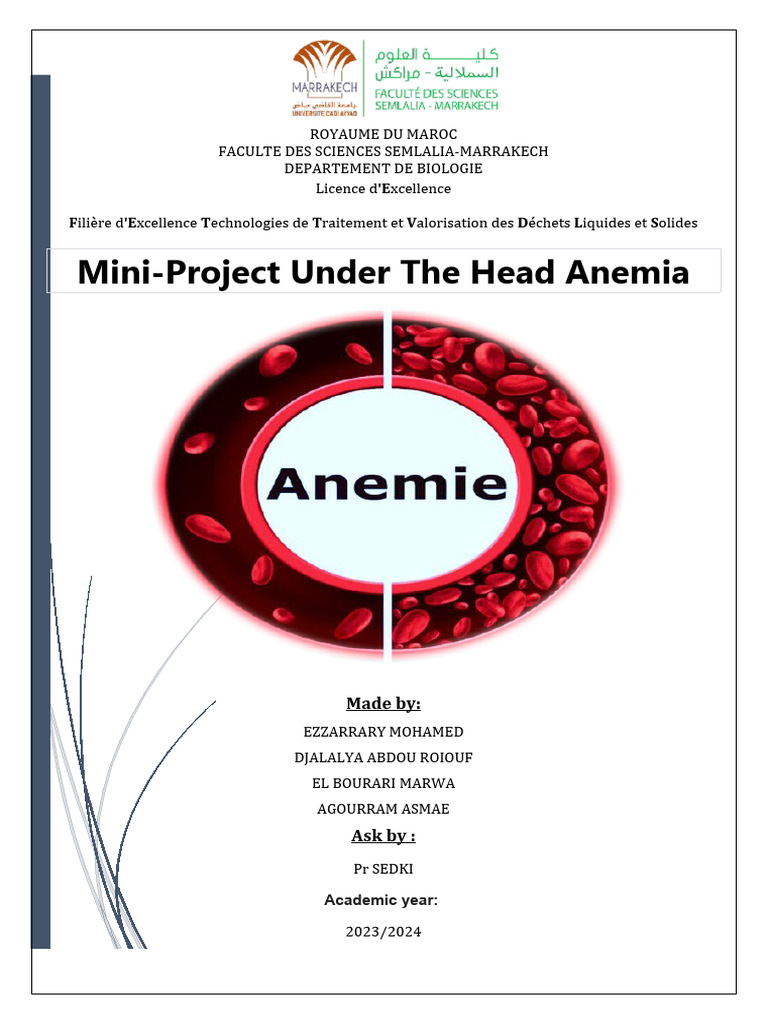 Anemia Mini Project | PDF | Anemia | Diseases And Disorders