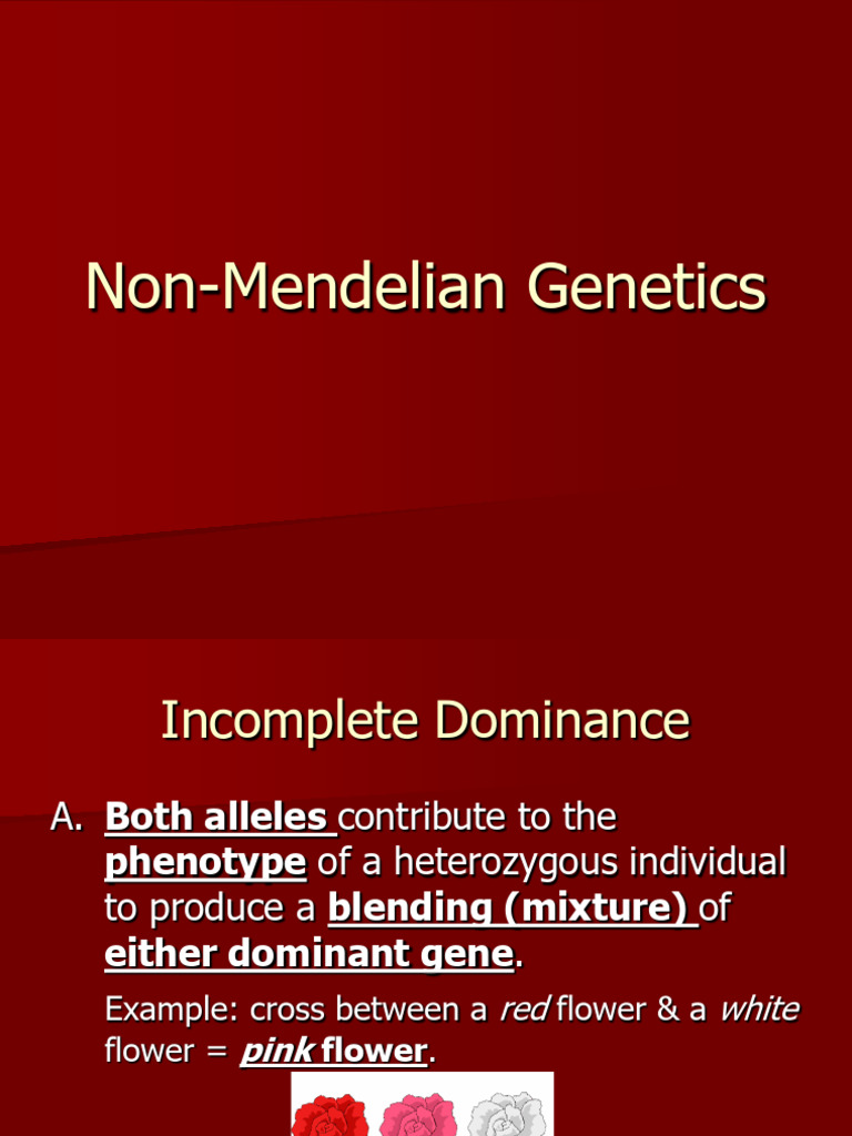 Non Mendelian Genetics | PDF | Dominance (Genetics) | Genotype