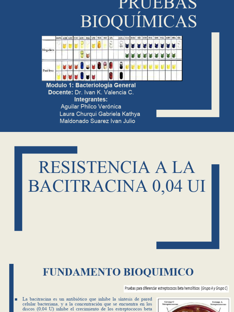 Pruebas Bioquimicas | PDF | Estreptococo | Staphylococcus Aureus