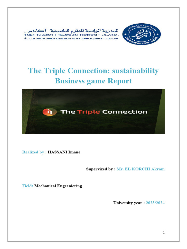 Triple Connection: Sustainability Strategies | PDF | Sustainability ...
