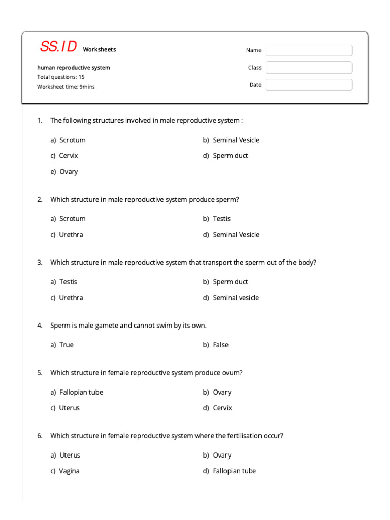 Human Reproductive System Worksheet | PDF | Reproductive System ...