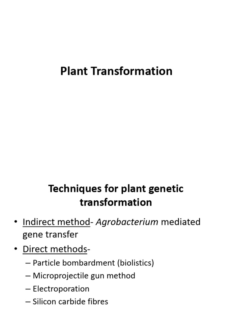 Plant Transformation Methods | PDF | Cell Biology | Biology