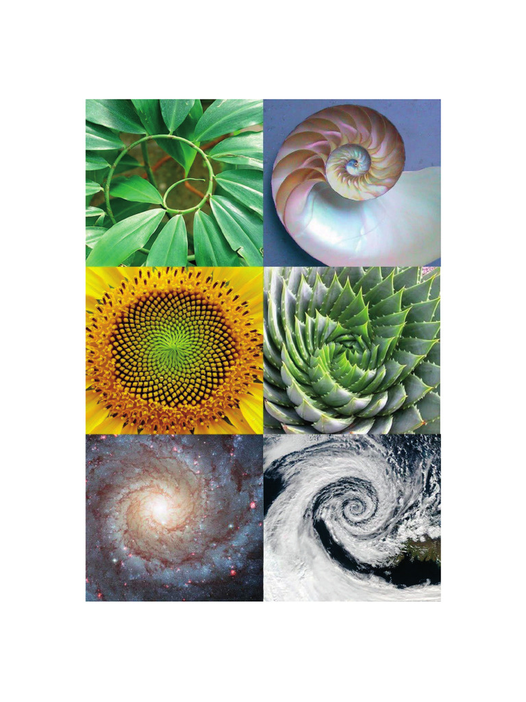 Shapes Found in Nature: A Guide | PDF | Home & Garden | Religion ...