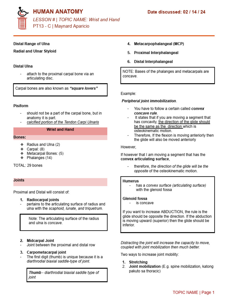 Wrist and Hand Transes | PDF | Thumb | Hand