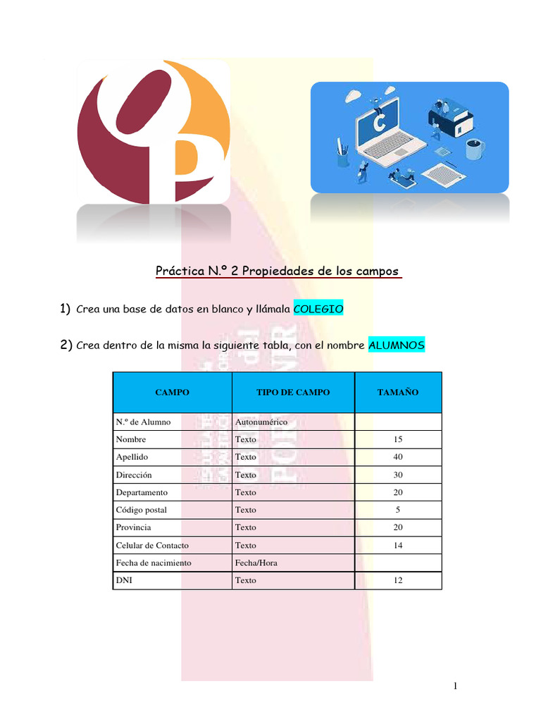 Practica Nº2 Propiedades de Los Campos | PDF | Documento de identidad | Informática