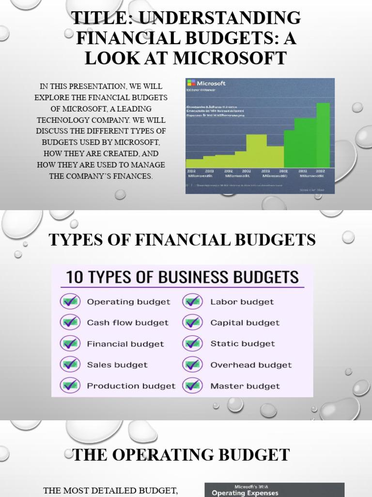 Microsoft Financial Budgets Overview | PDF