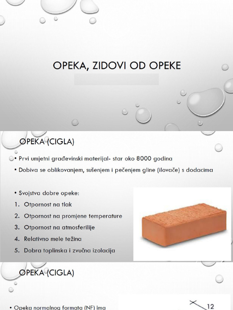 21_OPEKA I ZIDOVI OD OPEKE | PDF