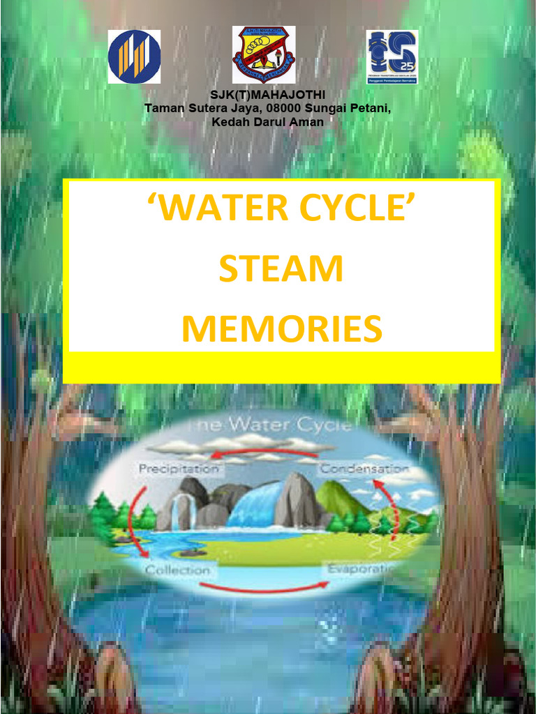 Album Steam | PDF