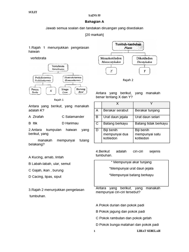 U1 2020 BHGN ABC | PDF