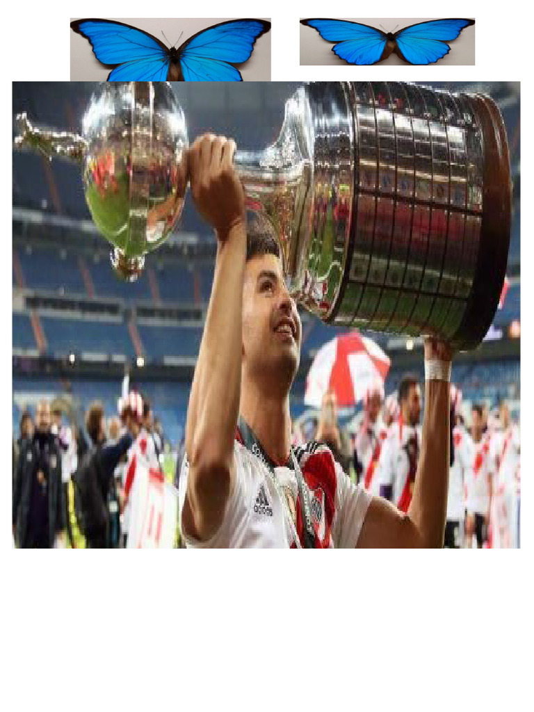 Pity y Mariposas | PDF