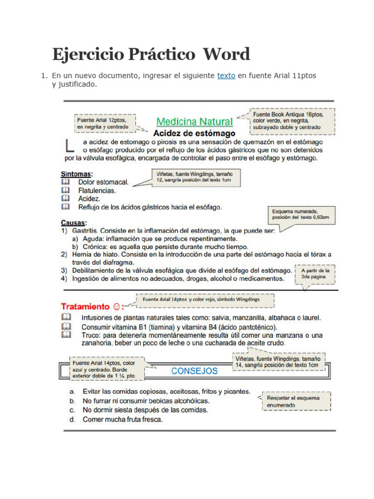 Ejercicio Práctico Word | PDF