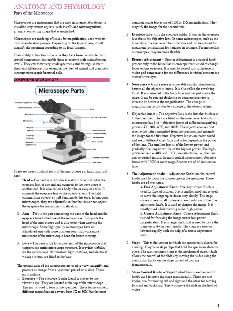 A1.1 Parts of The Microscope | PDF | Electromagnetic Radiation | Optics