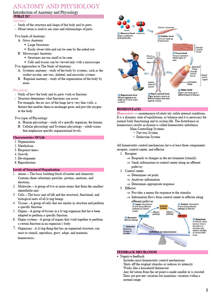 E1.1 Introduction To Anatomy and Physiology | PDF | Human Body | Anatomical Terms Of Location