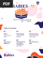 Animal Bite Flowchart | PDF | Rabies | Patient