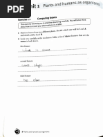 Cambridge IGCSE 0653 Combined Science Syllabus For Examination in 2025 ...