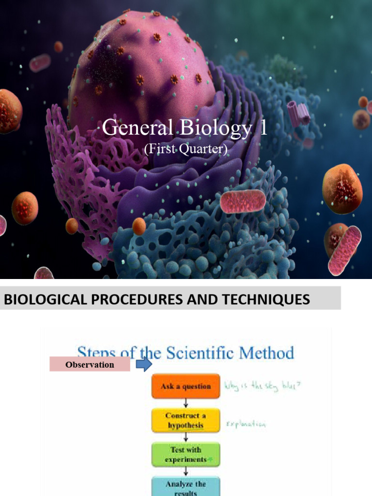 1Q Reviewer | PDF | Cell Membrane | Root
