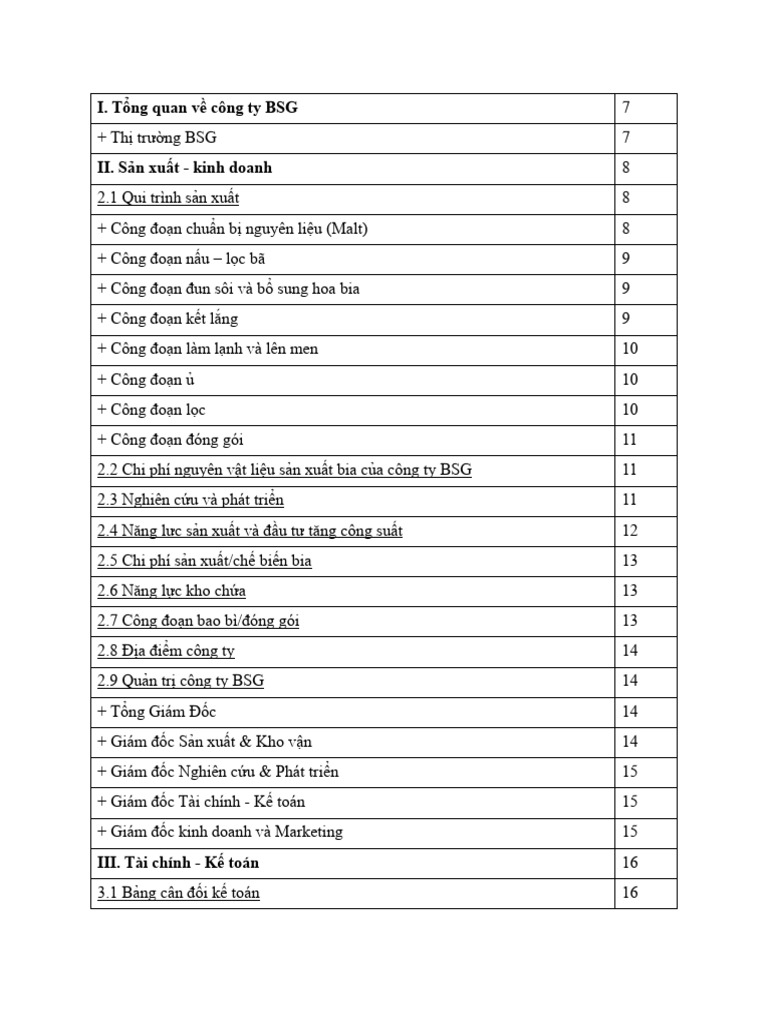 I. Tổng quan về công ty BSG | PDF