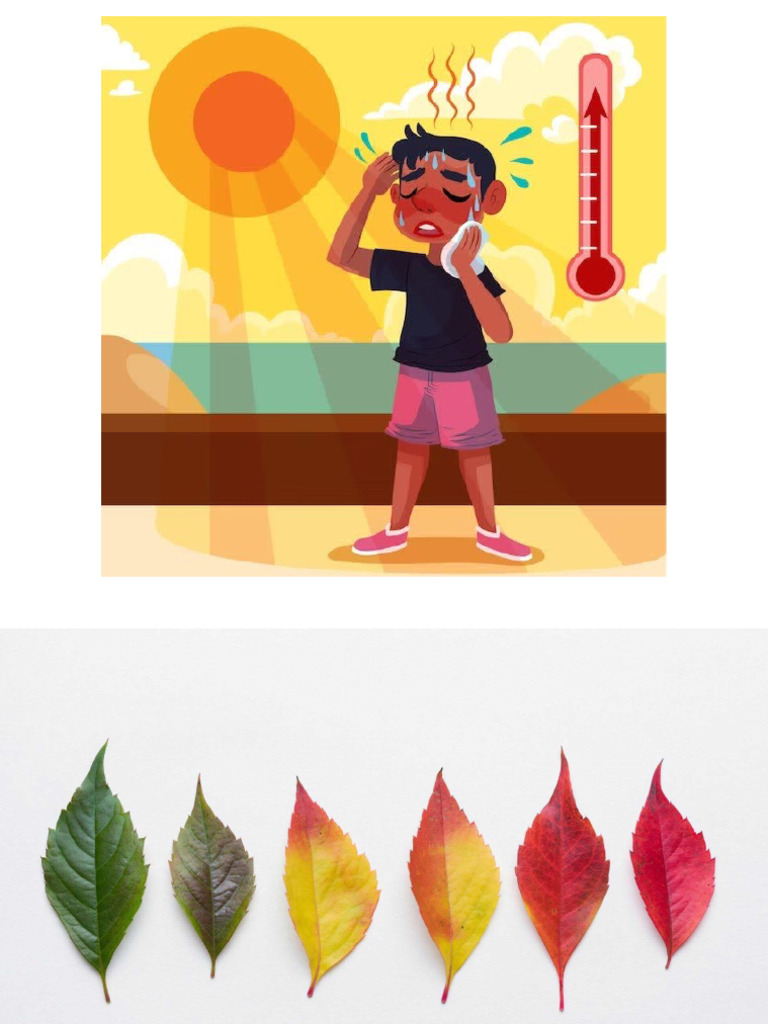 the four seasons flashcards 2 | PDF