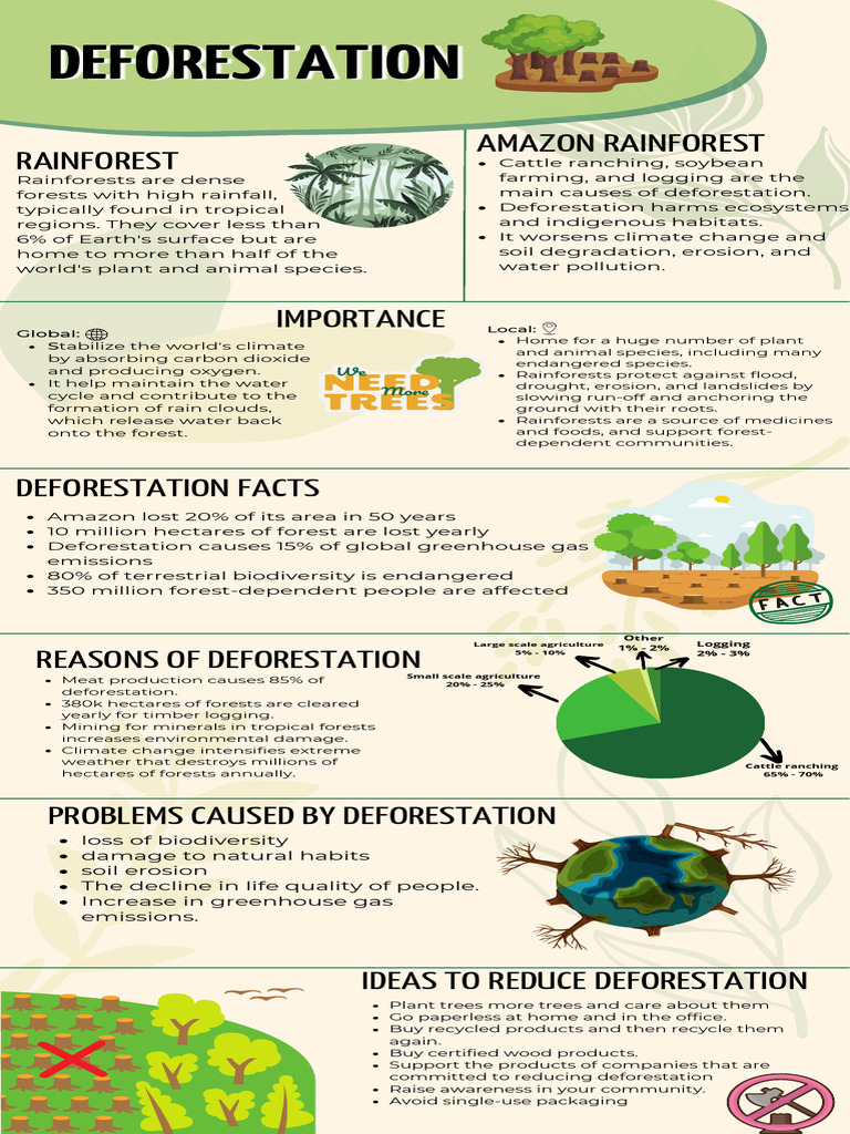 DEFORESTATION | PDF