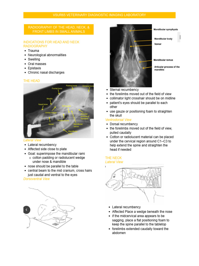 Head, Neck, and Limb Radiography Guide | PDF | Anatomical Terms Of ...